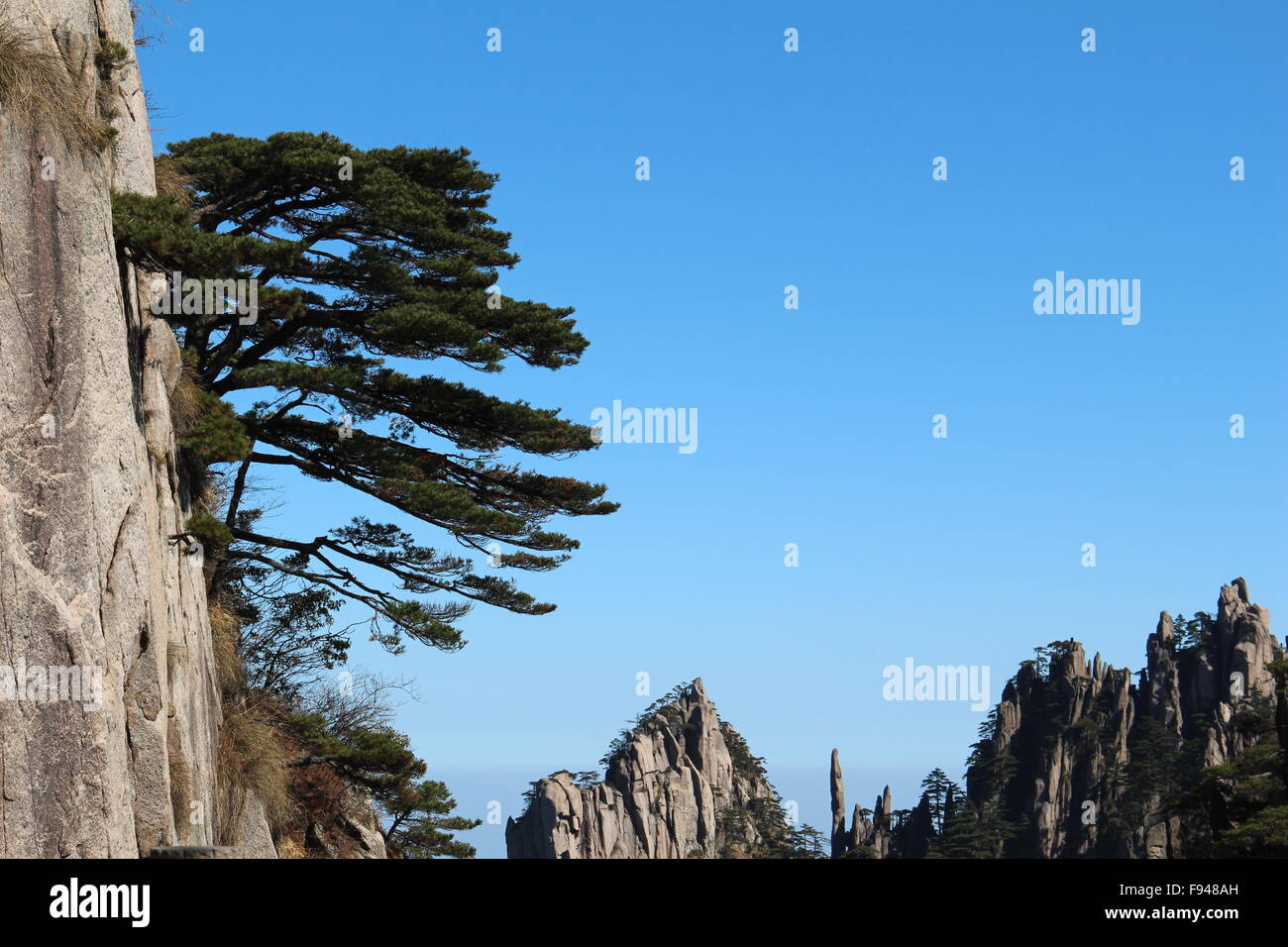 Huangshan mountain with single tree and blue sky in China Stock Photo ...