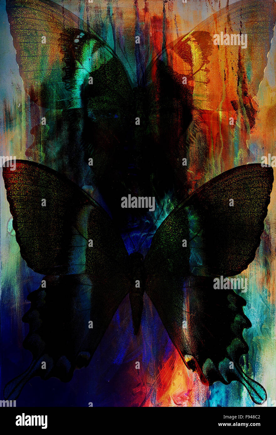 color butterfly, illustration and mixed medium, abstract background ...