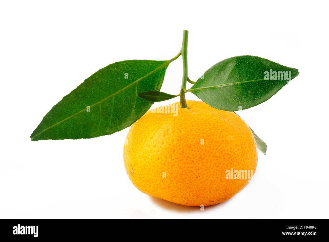 Ripe mandarin fruit isolated on white background Stock Photo - Alamy