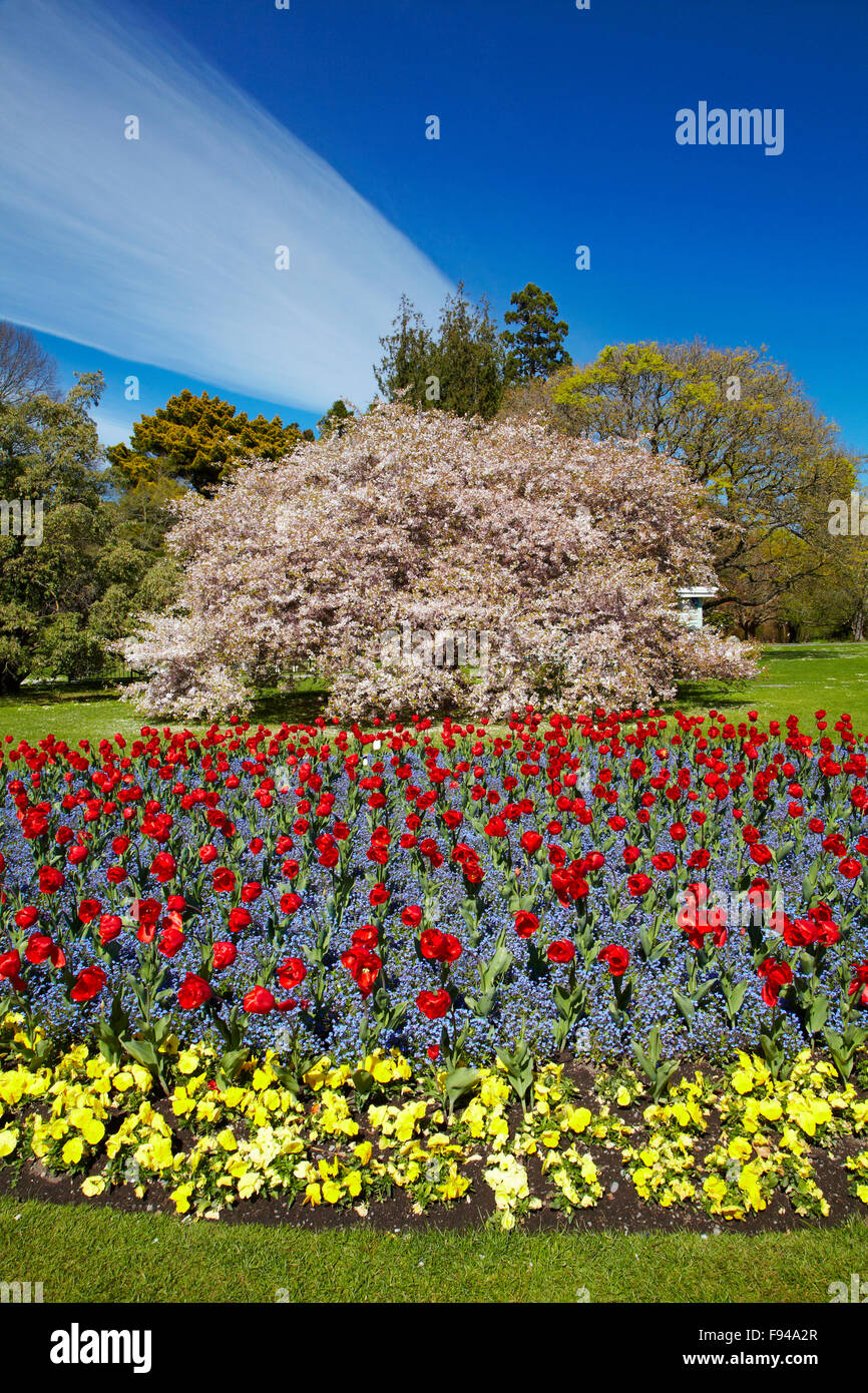 Christchurch hagley park spring hi-res stock photography and images - Alamy