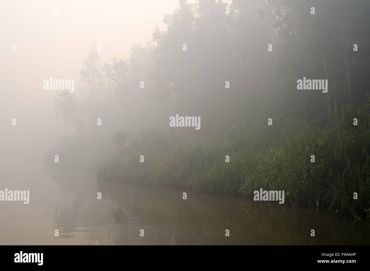 Smoke over the River from Illegal Forest Fires, Kalimantan, Borneo ...