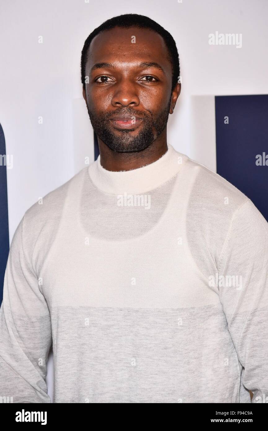 New York, NY, USA. 13th Dec, 2015. Jamie Hector at arrivals for JOY ...