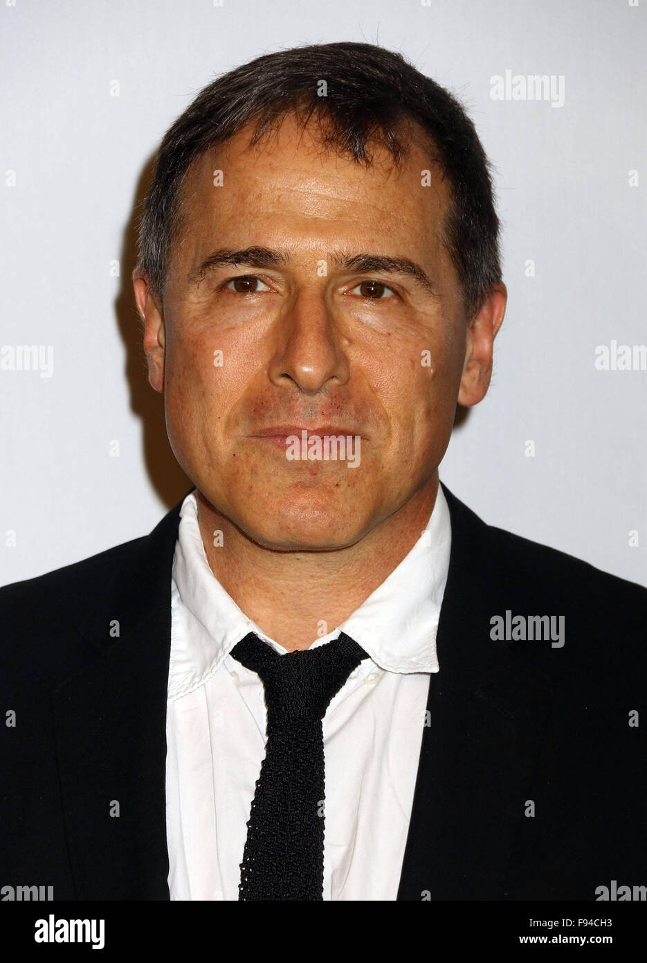 New York, New York, USA. 13th Dec, 2015. Director DAVID O. RUSSELL ...