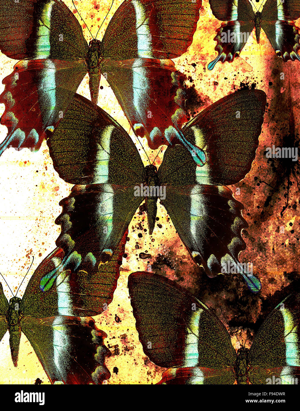 illustration of a color butterfly, mixed medium, structure bac Stock ...