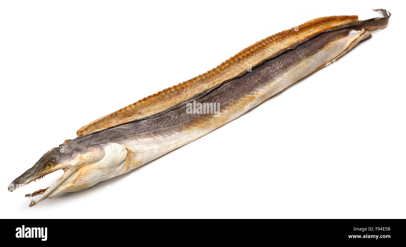 Silver eel hi-res stock photography and images - Alamy
