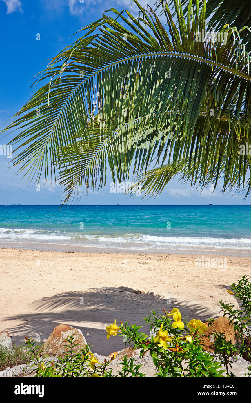 View of Klong Muang Beach, Krabi Province, Thailand Stock Photo - Alamy