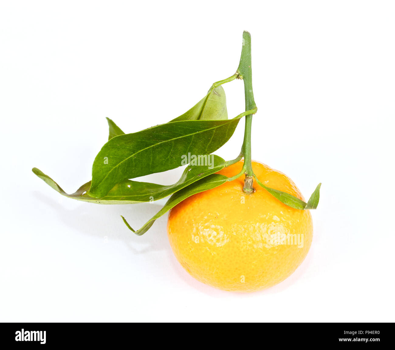 mandarin with green leaves isolated on white Stock Photo - Alamy