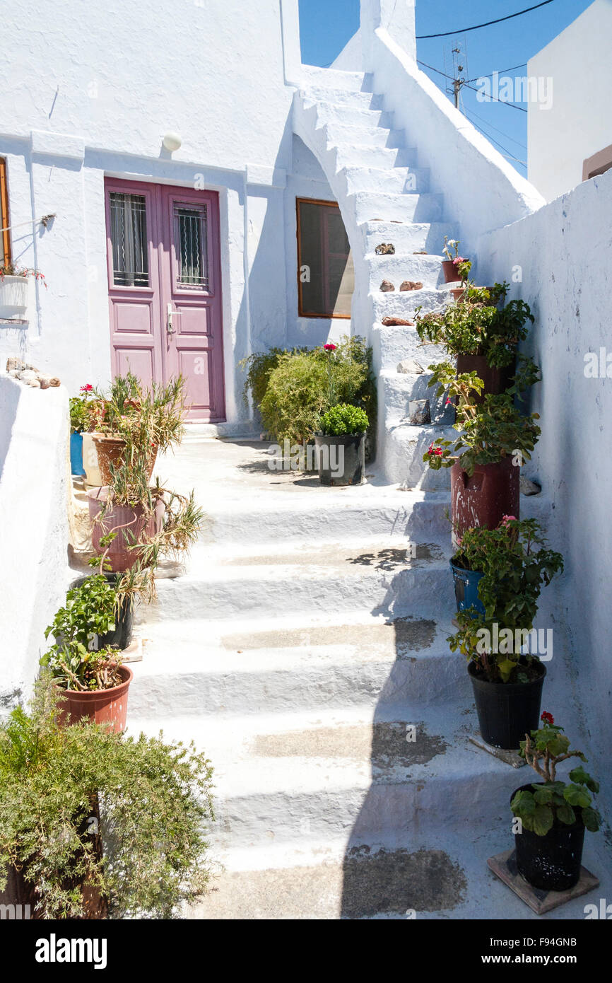Cyclades. Santorini, Thira. White-washed worn stone steps, with flowers ...