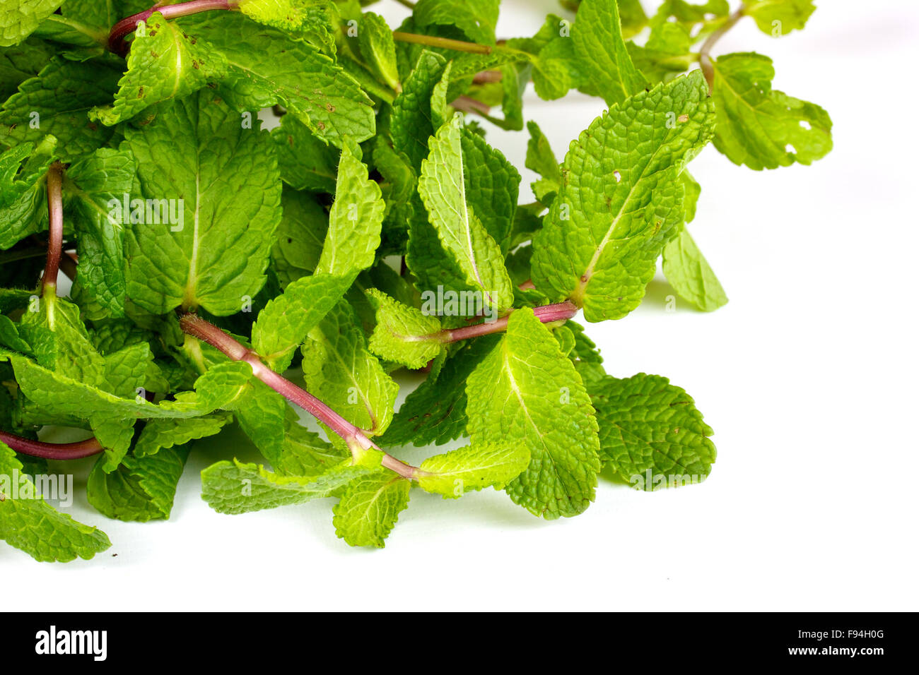 Fresh Green Mint Isolated on White Stock Photo - Alamy