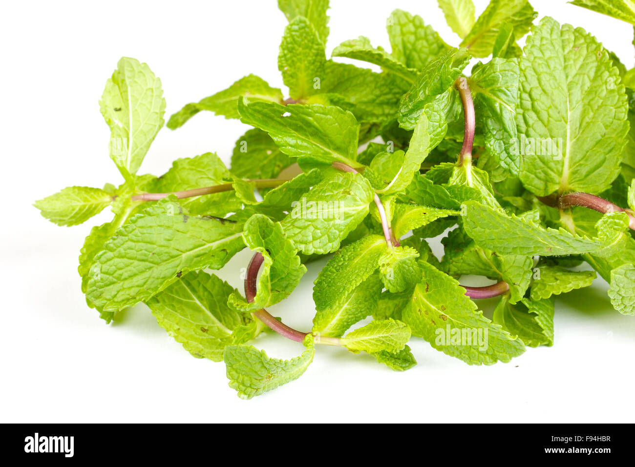 Fresh Green Mint Isolated on White Stock Photo - Alamy