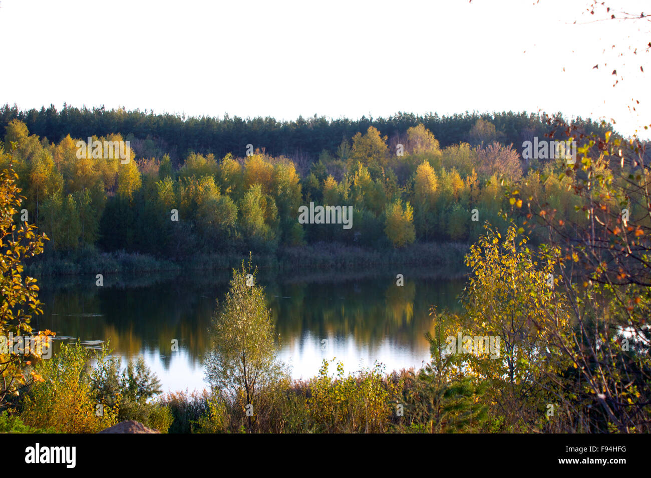 Beautiful landscape. Field and edge of forest Russia Stock Photo - Alamy