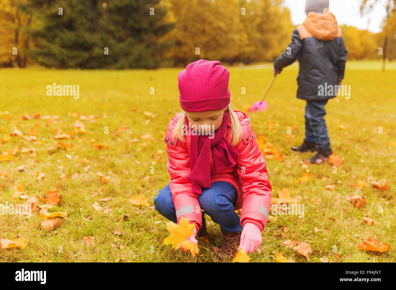 children collecting leaves in autumn park Stock Photo - Alamy