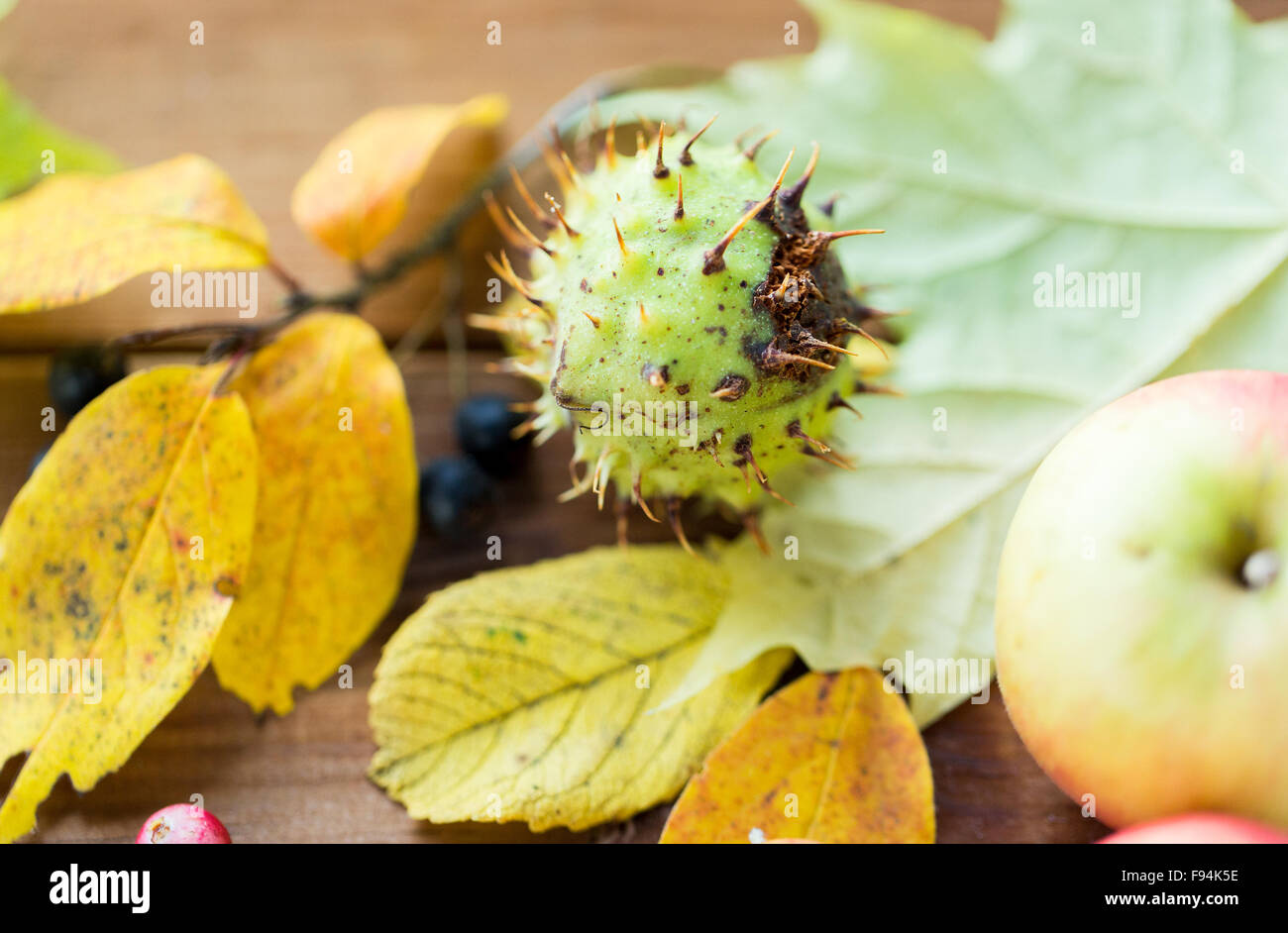 close up of autumn leaves, fruits and berries Stock Photo - Alamy