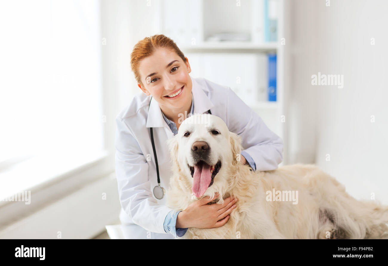 happy doctor with retriever dog at vet clinic Stock Photo - Alamy