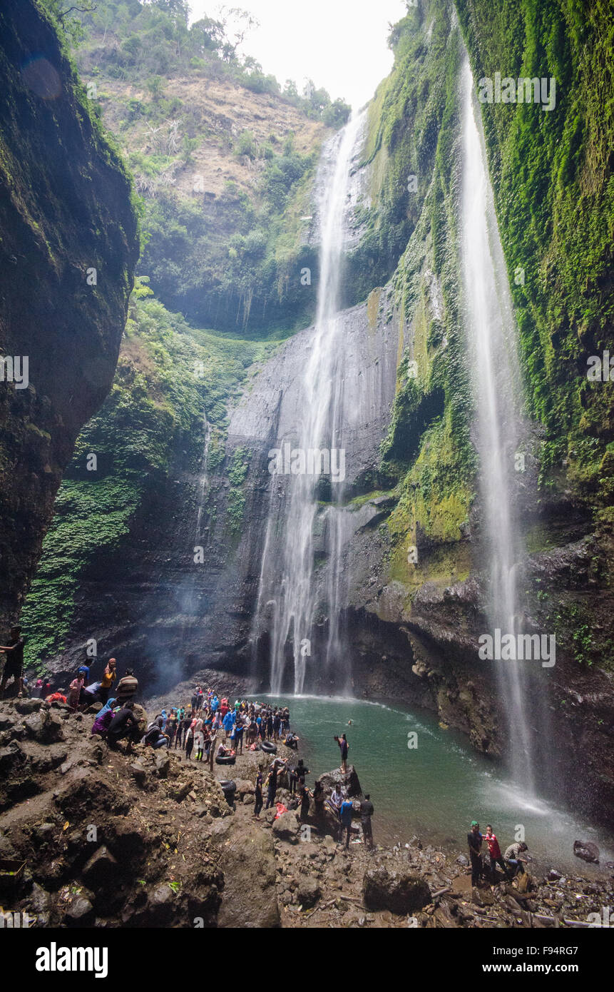 Madakaripura Waterfall, Java, Indonesia Stock Photo - Alamy