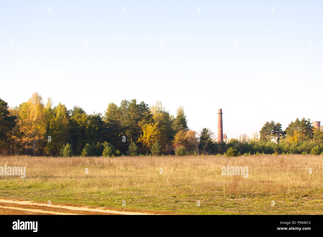 Beautiful landscape. Field and edge of forest Russia Stock Photo - Alamy