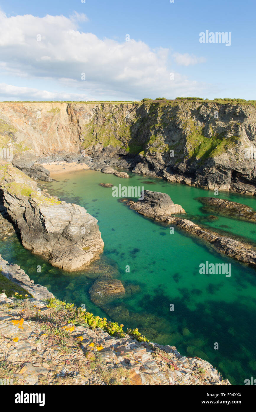 Fox cove hi-res stock photography and images - Alamy