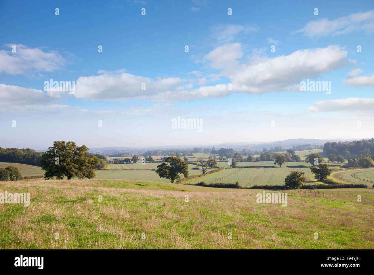 View over Ragley Estate, Warwickshire, England Stock Photo - Alamy