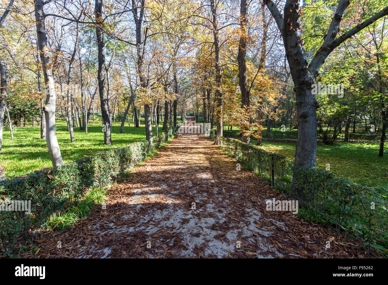 Inside of the Retiro Park in Madrid an autumn day Stock Photo - Alamy