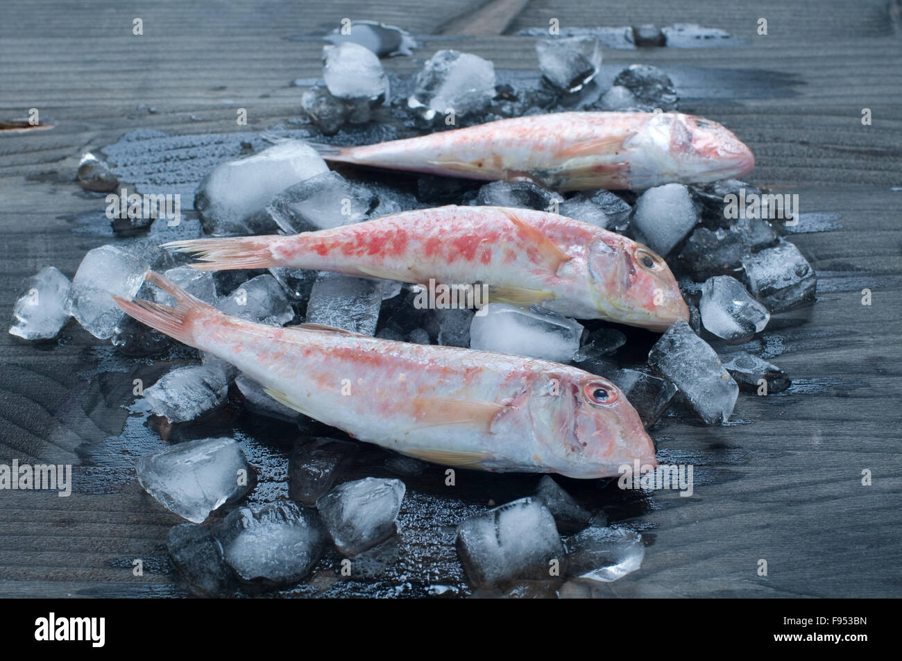 Mullet on ice hi-res stock photography and images - Alamy