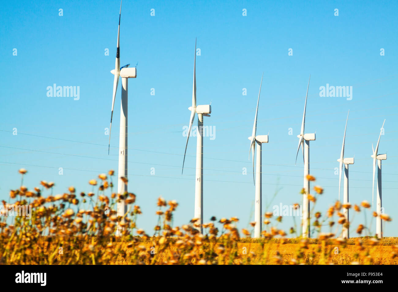 Wind farm at farmland in summer aragon hi-res stock photography and ...