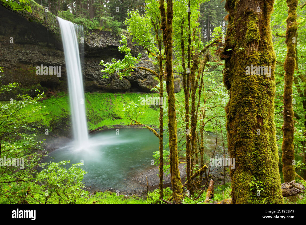 The South Falls in the Silver Falls State Park, Oregon, USA Stock Photo ...