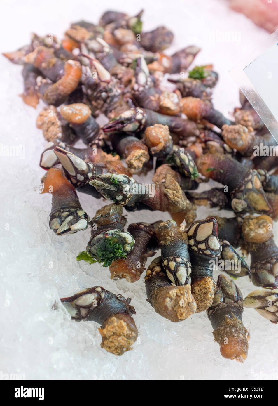 Percebes hi-res stock photography and images - Alamy