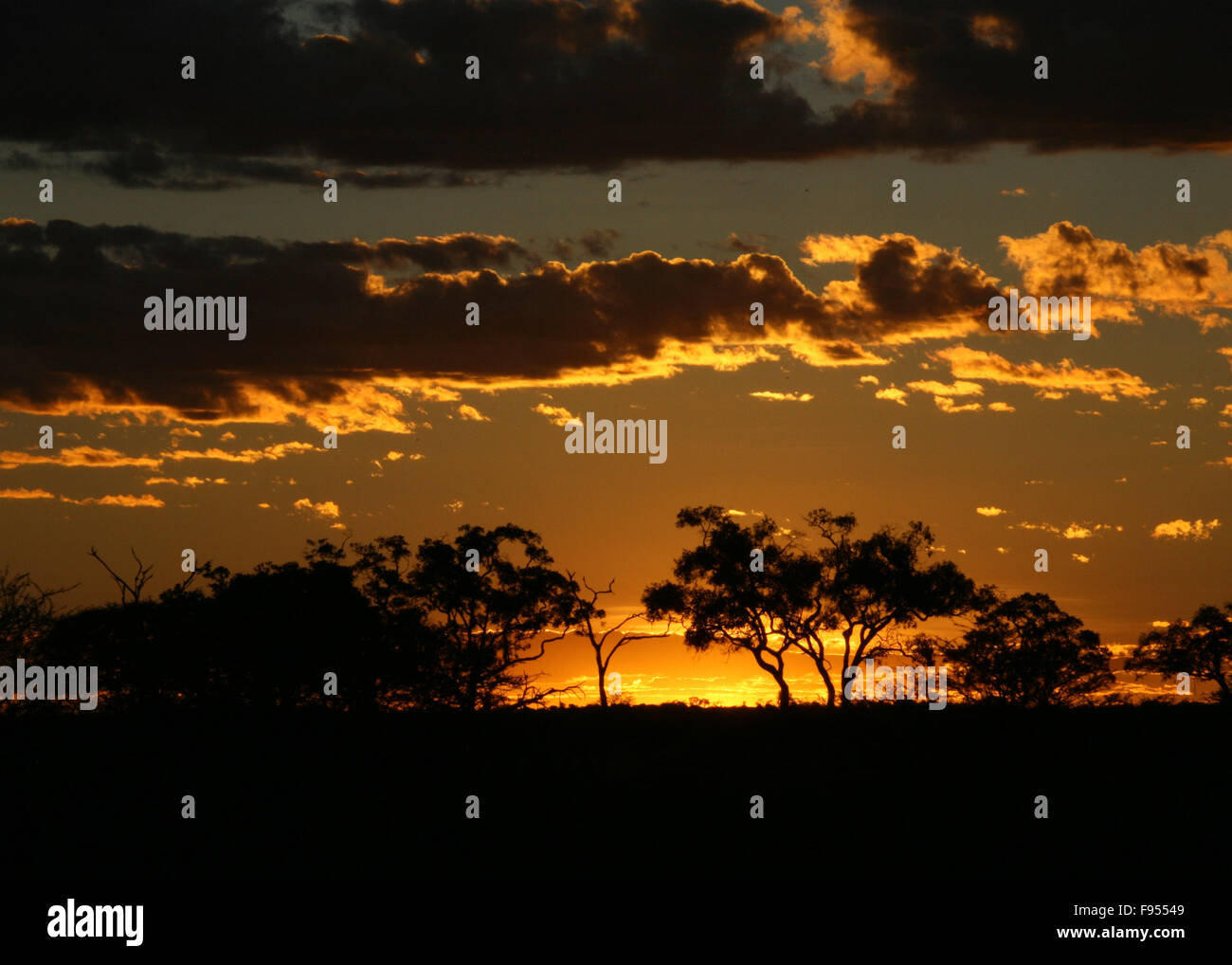 Botswana sunset hi-res stock photography and images - Alamy