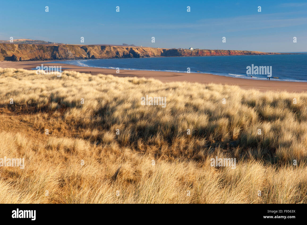 The beach at St Cyrus National Nature Reserve - Aberdeenshire, Scotland ...