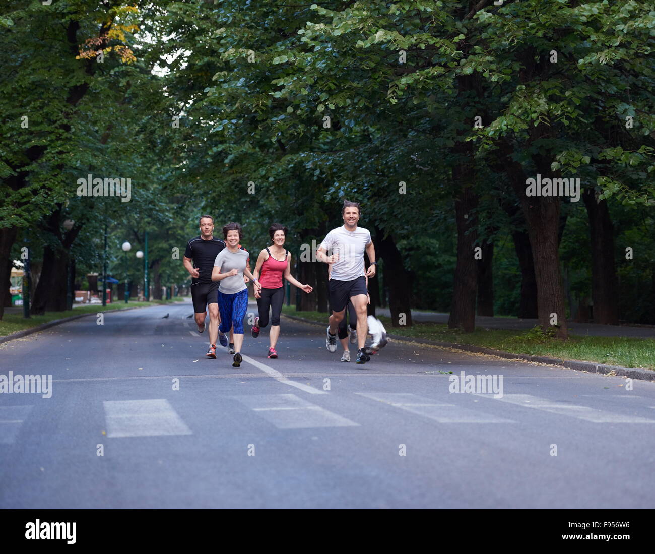 people group jogging, runners team on morning training Stock Photo - Alamy