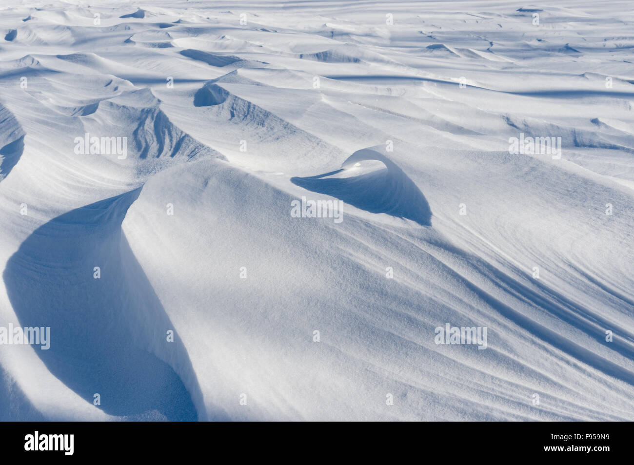 Fresh fallen snow hi-res stock photography and images - Alamy