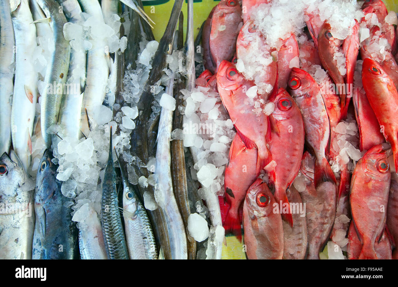 Raw fresh fish on market counter Stock Photo - Alamy