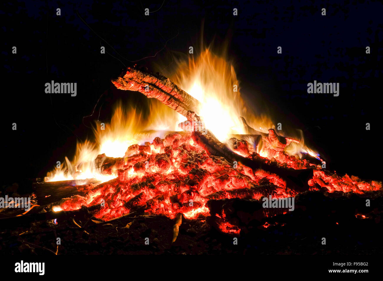 Campfire night woods hi-res stock photography and images - Alamy