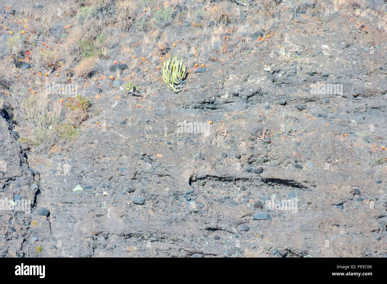 Dry Lava Basaltic Rock Stock Photo - Alamy