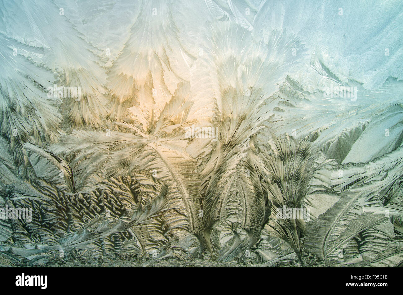 Artistic shapes created by nature, frozen windshield with feather like ...