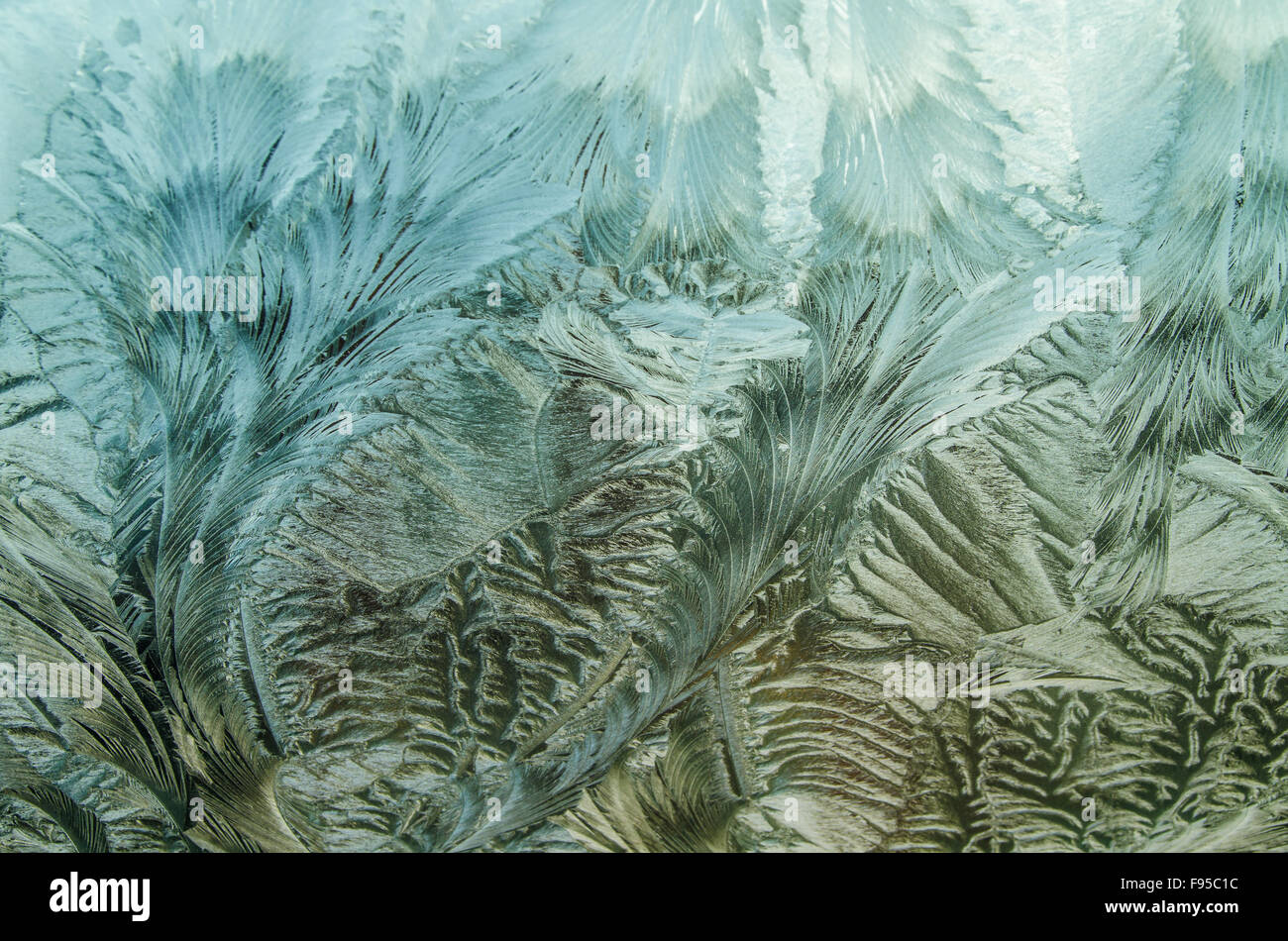 Artistic shapes created by nature, frozen windshield with feather like ...