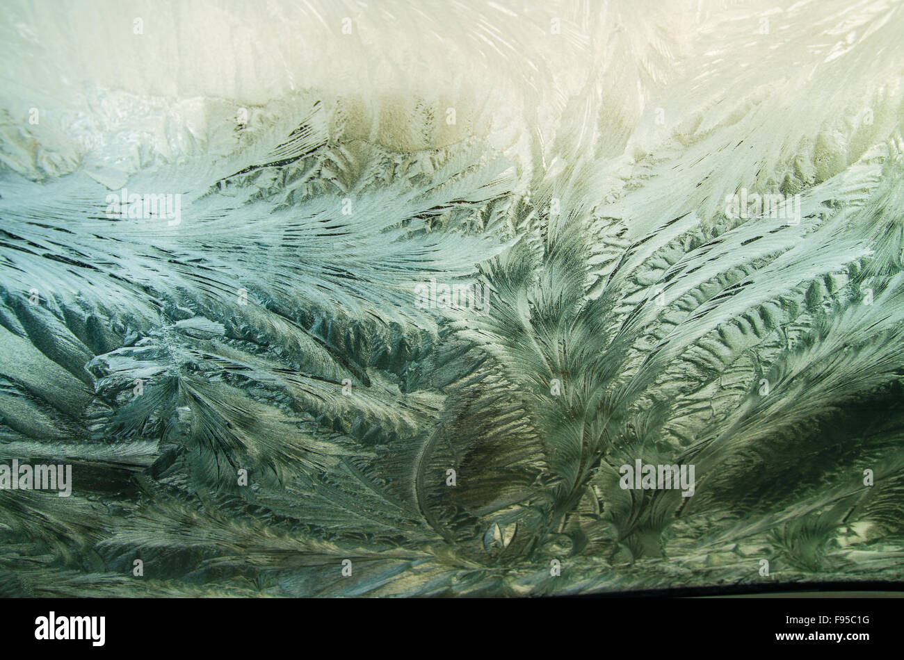 Artistic shapes created by nature, frozen windshield with feather like ...