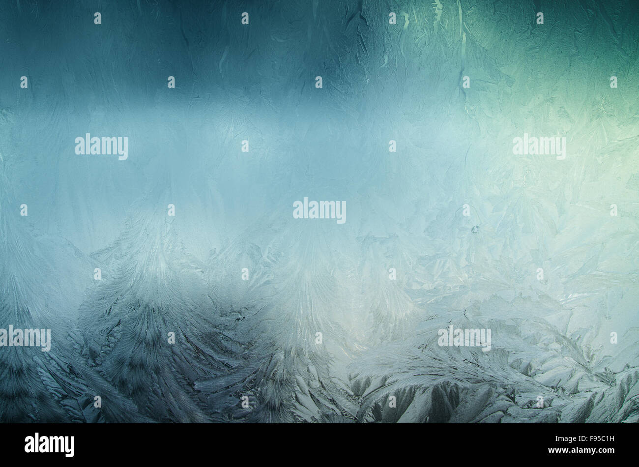 Artistic shapes created by nature, frozen windshield with feather like ...