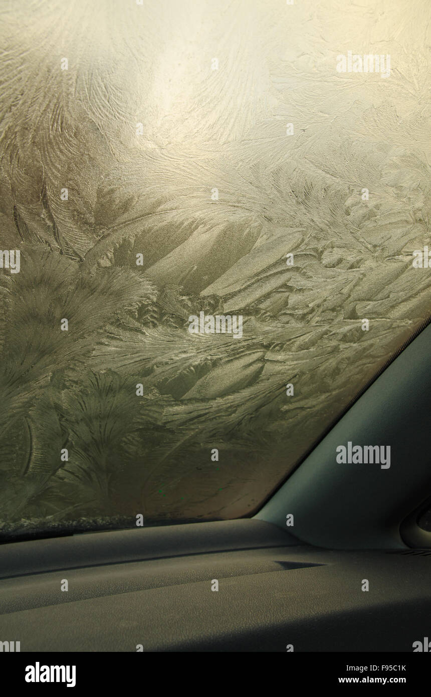 Artistic shapes created by nature, frozen windshield with feather like ...