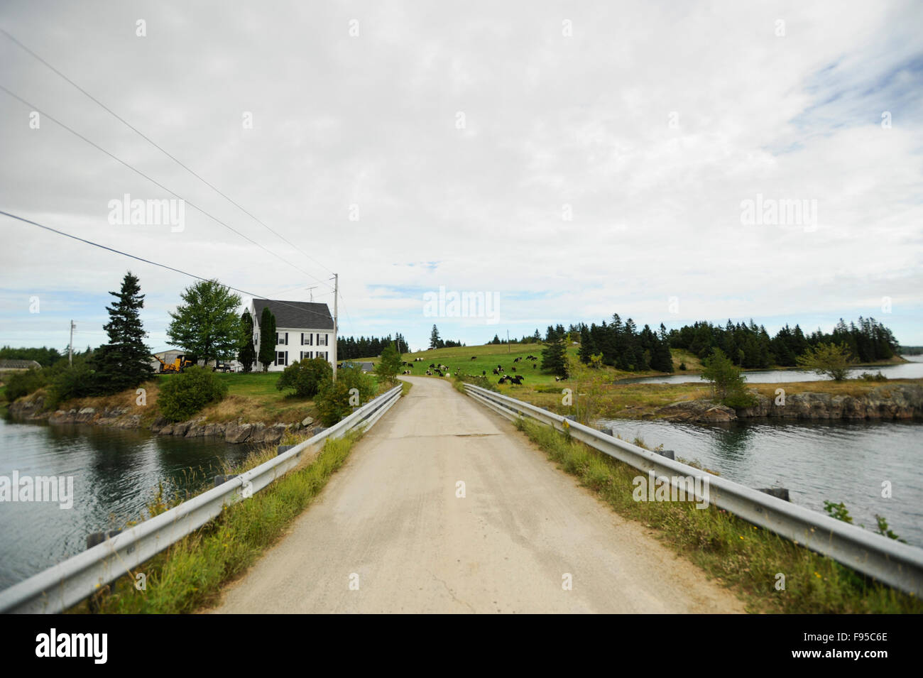 Daily life on an Organic Dairy Farm Stock Photo - Alamy