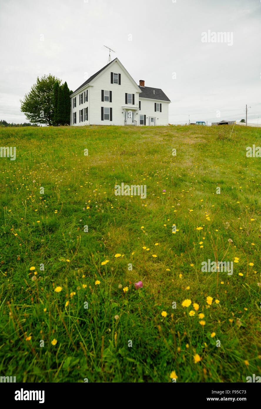 Daily life on an Organic Dairy Farm Stock Photo - Alamy