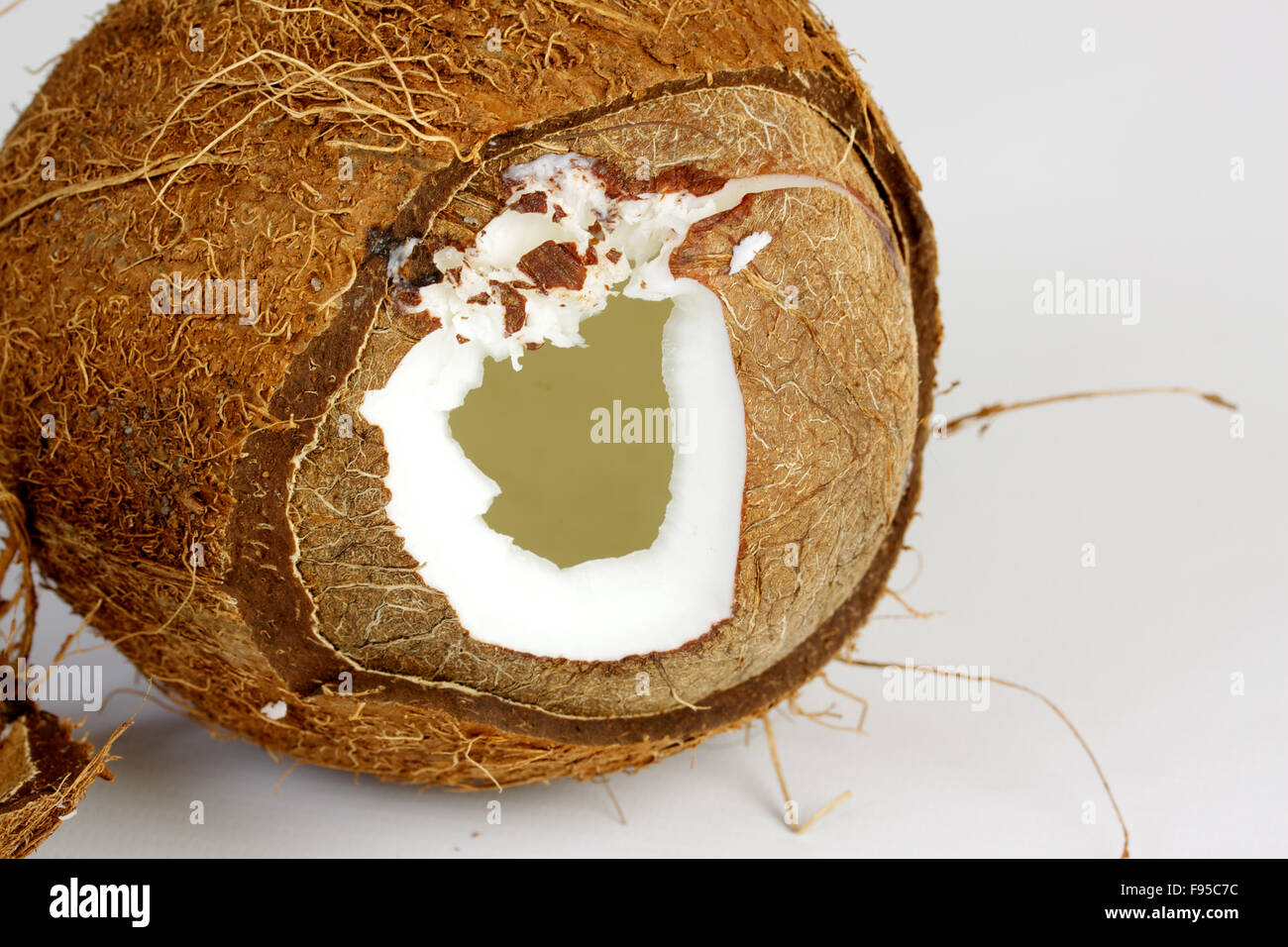 Two halves of coconut on white background Stock Photo - Alamy