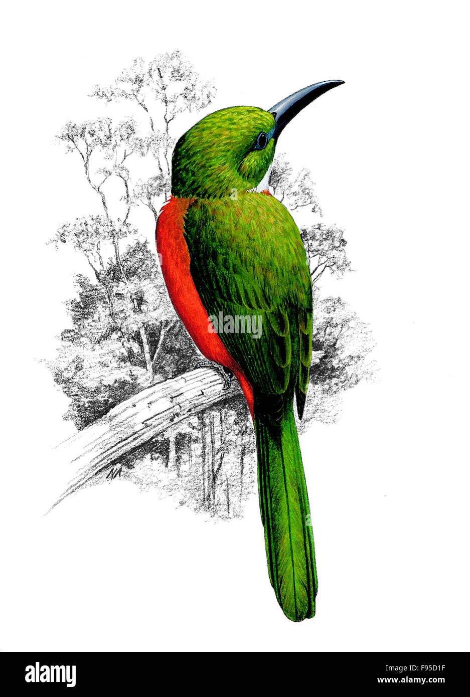 Great history Cut Out Stock Images & Pictures - Alamy