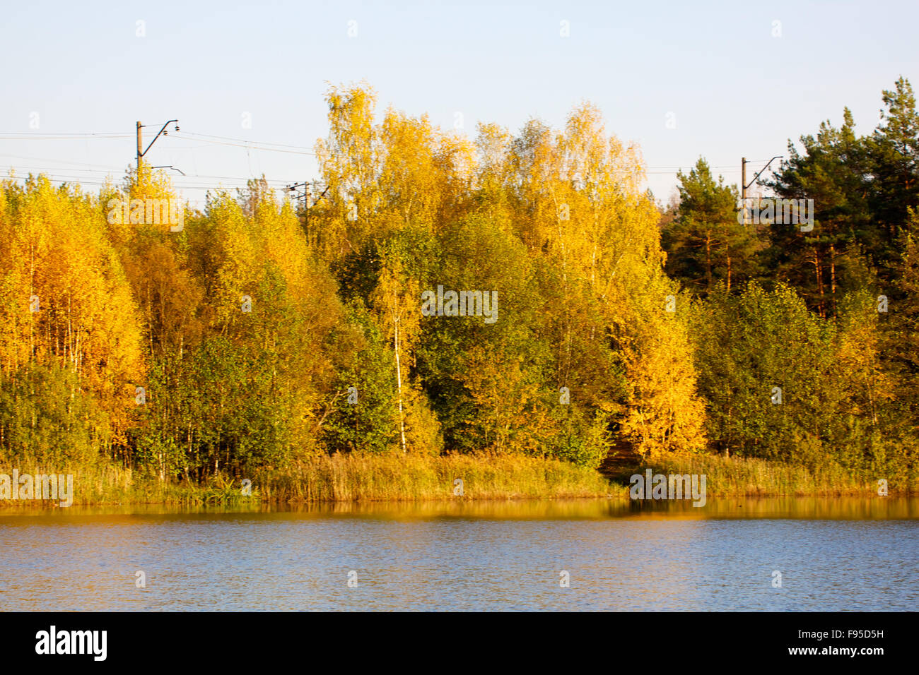 Beautiful landscape. Field and edge of forest Russia Stock Photo - Alamy