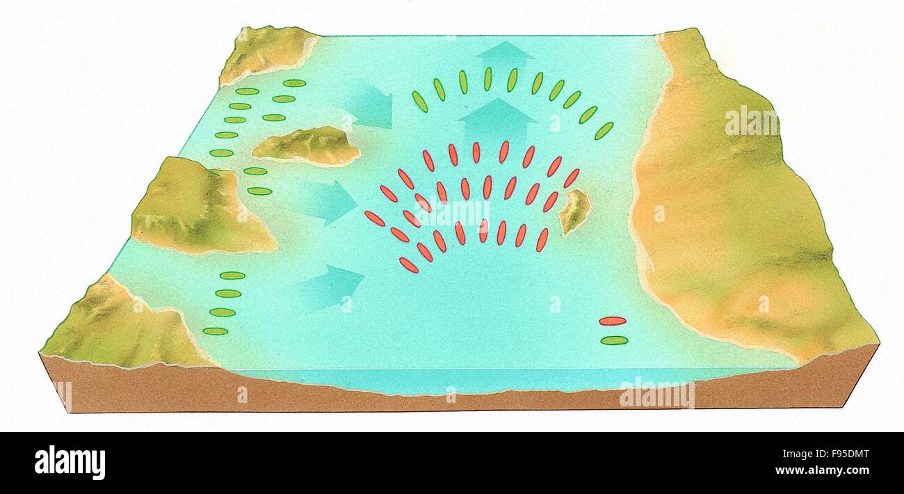 Salamis naval warfare map battle salamis persians hi-res stock ...