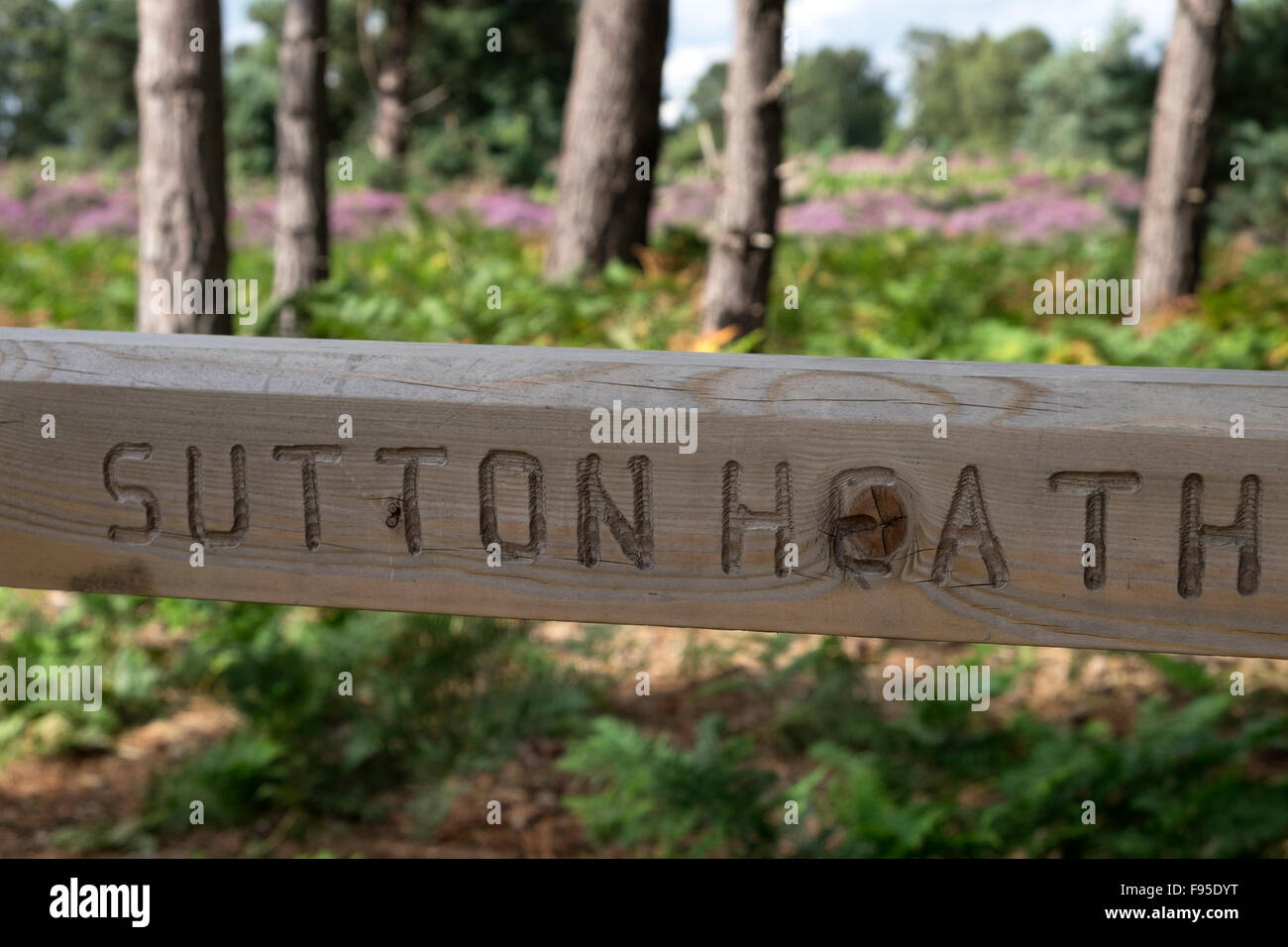 Suffolk heathlands hi-res stock photography and images - Alamy