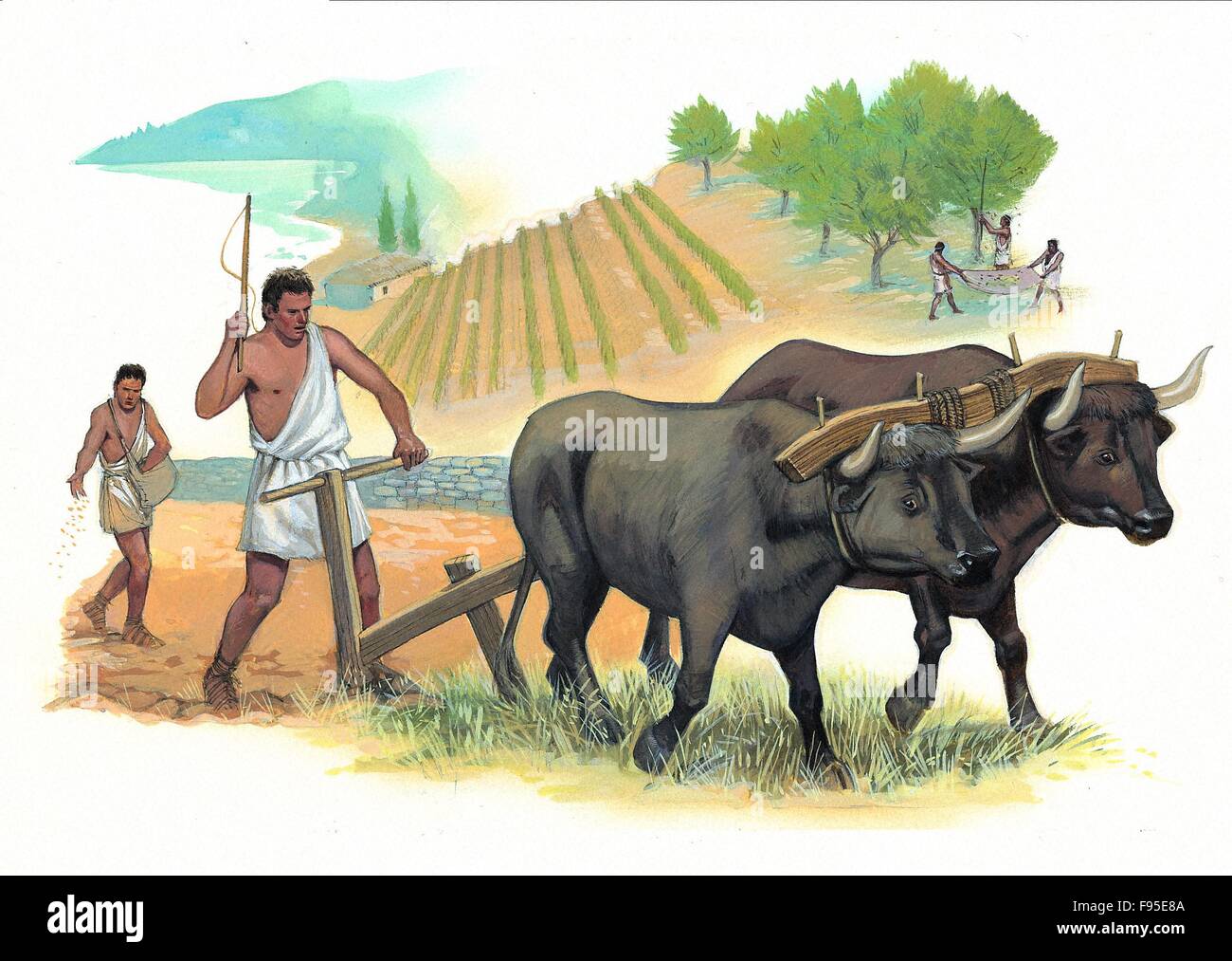 Greece ancient history Cut Out Stock Images & Pictures - Alamy