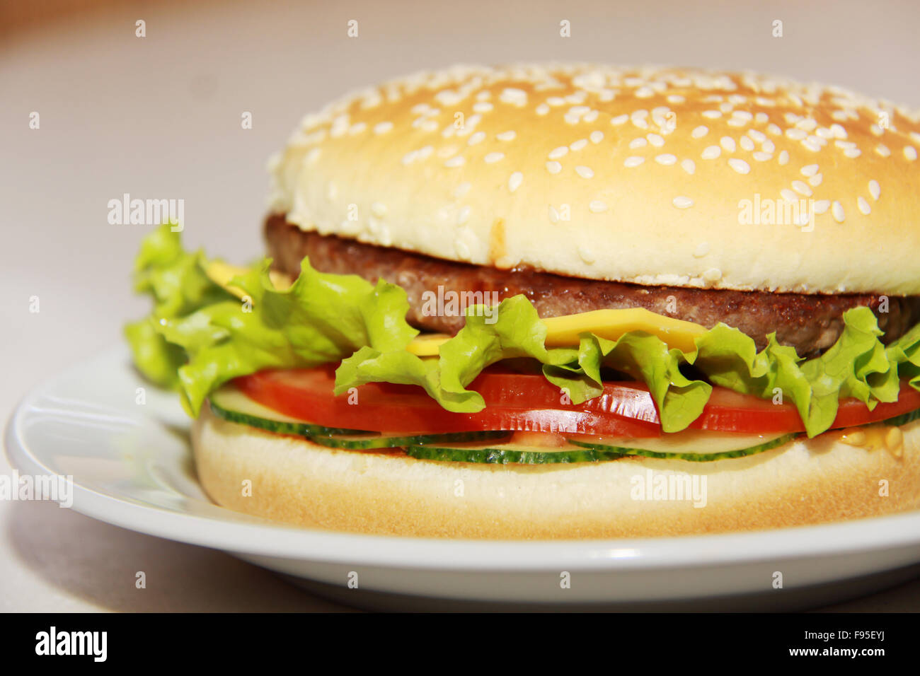 Tasty hamburger isolated on white background Stock Photo - Alamy