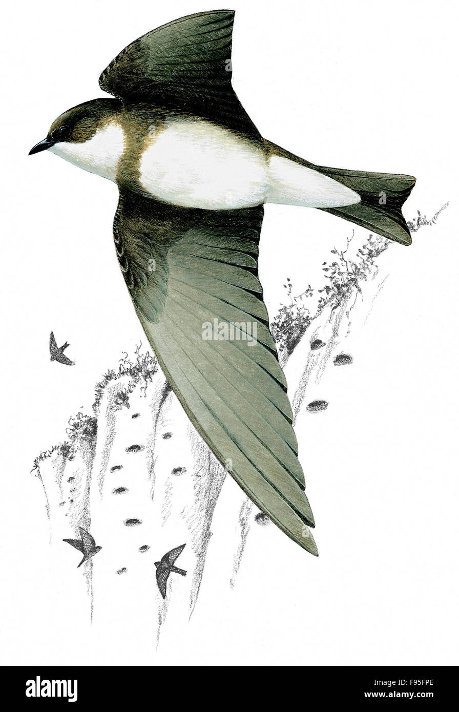 Sheer sandy hills hi-res stock photography and images - Alamy