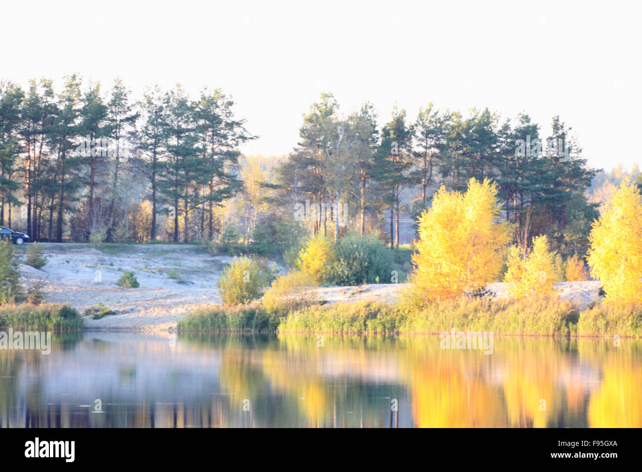 Beautiful landscape. Field and edge of forest Russia Stock Photo - Alamy